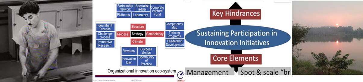 Catalign Innovation Consulting: Newsletter