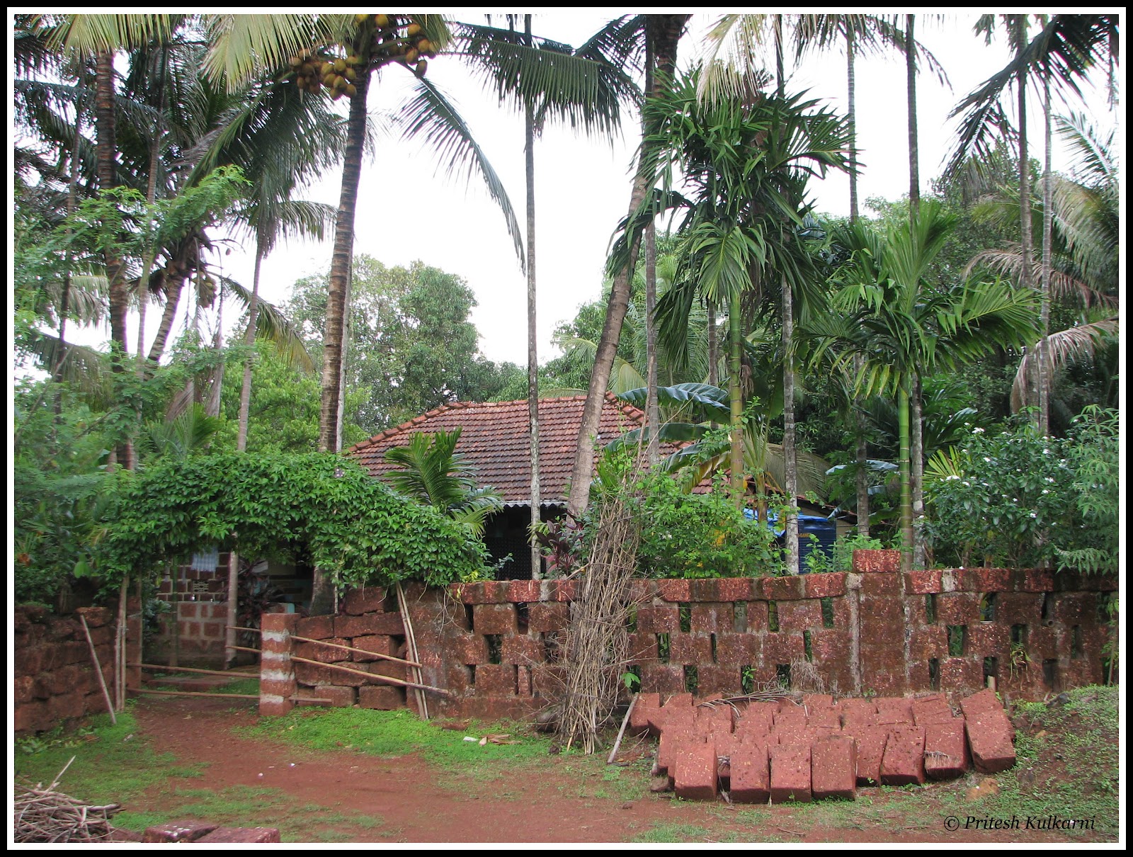 Rajapur Village - JungleKey.in Image