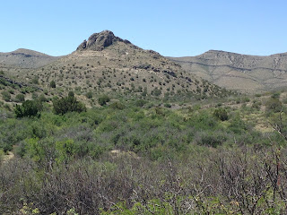 Southern New Mexico Explorer: Hembrillo Canyon