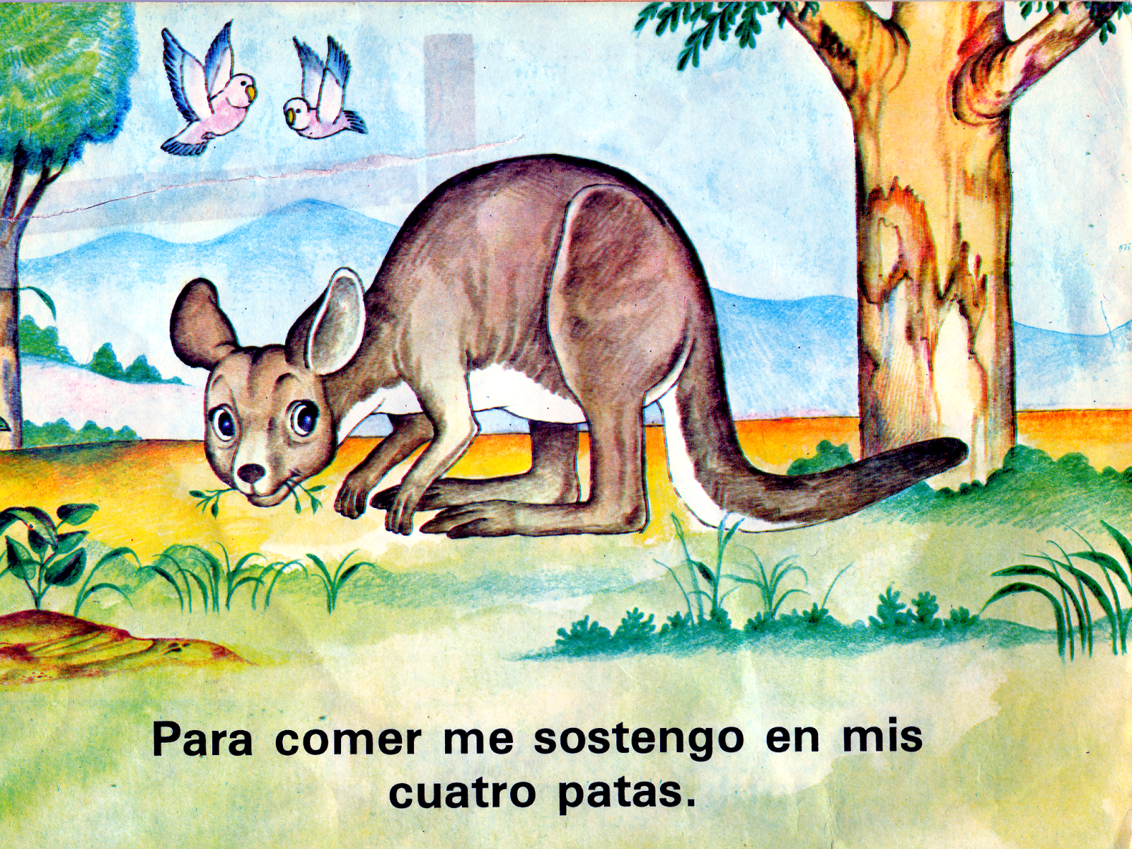 Escuela infantil castillo de Blanca: CUENTO: EL CANGURO