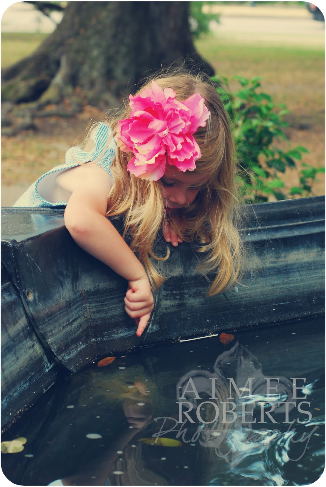 Aimee Roberts Photography