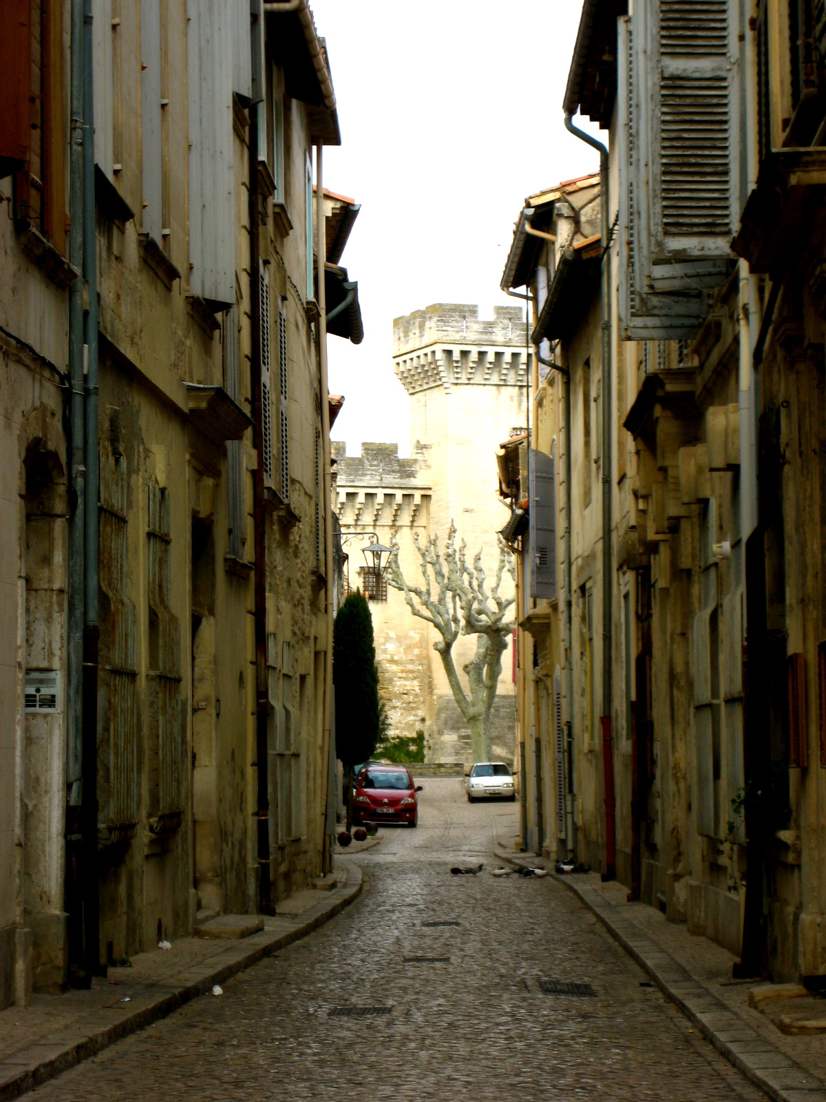 travelousness: Avignon, France