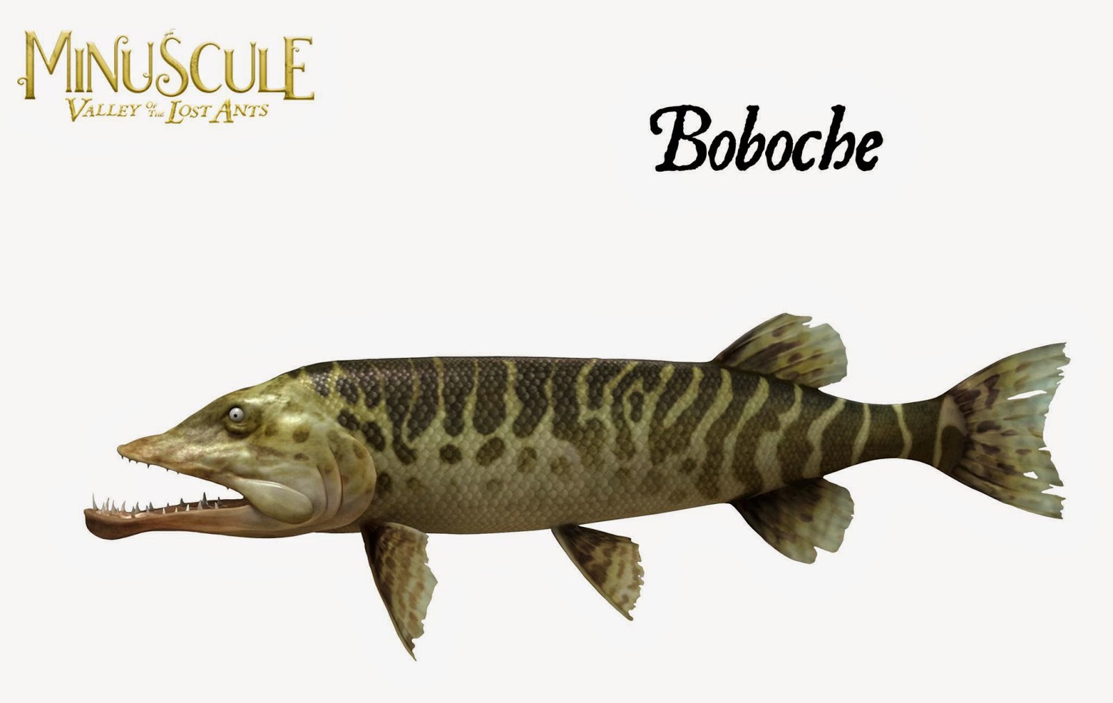 LA CIENCIA DE LA VIDA: Los animalillos de las películas de animación ...