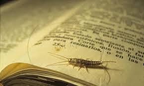 ALEJANDRINOS: MALDITO QUIJOTE - 2011