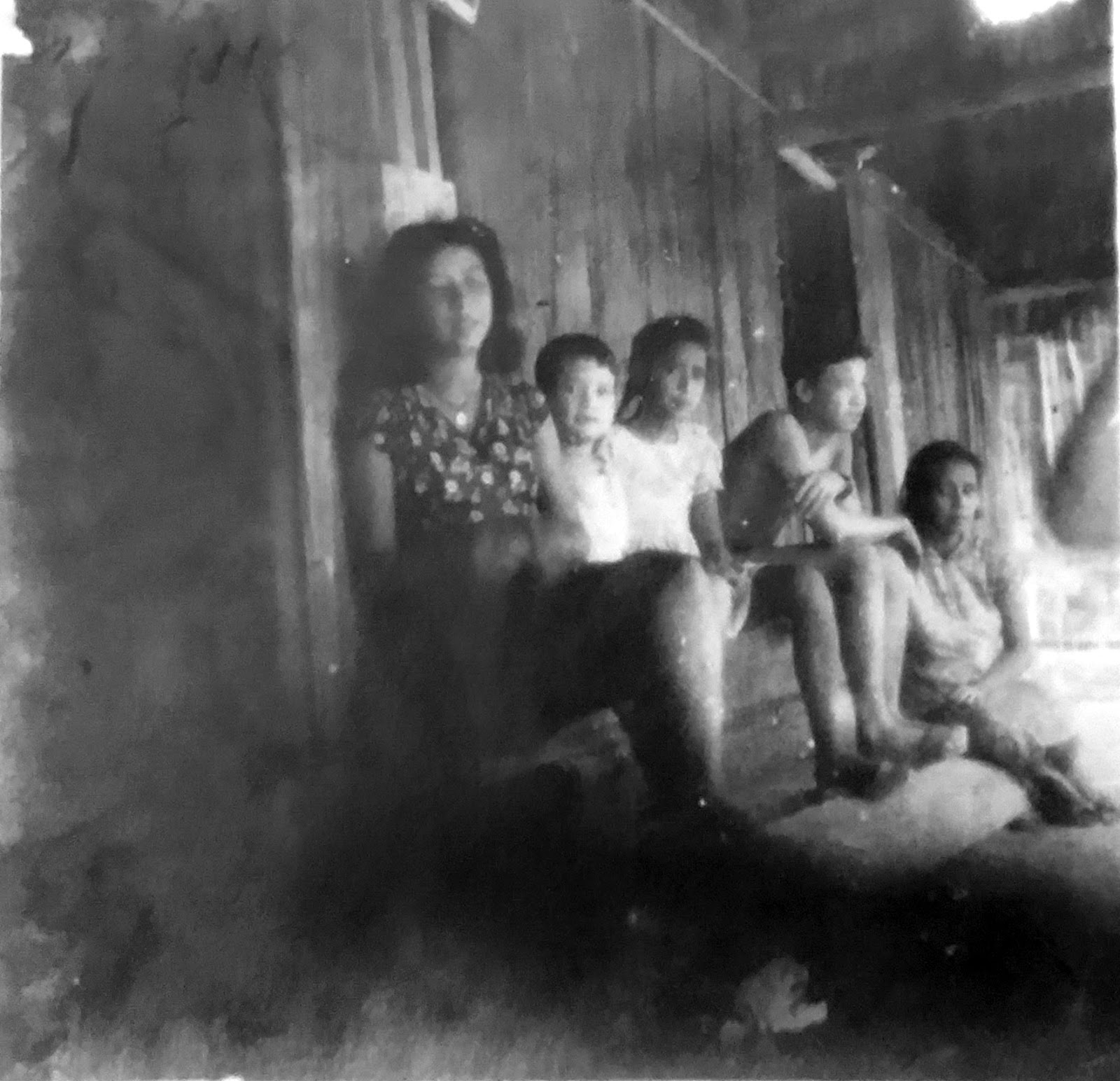 Novels published by DM Books: Bahau, the Elephant & the Ham - Images