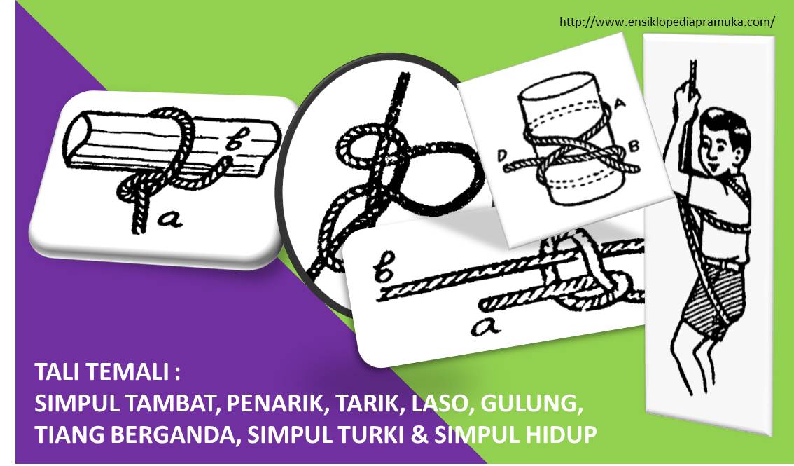 Sejarah Pramuka: Tali temali : simpul tambat, simpul penarik, simpul ...