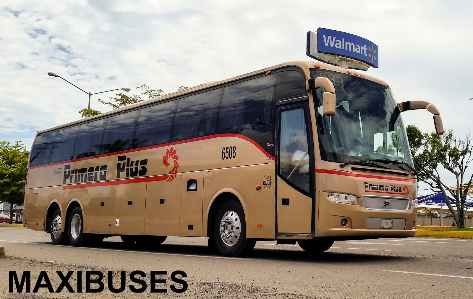 MAXIBUSES: PRIMERA PLUS
