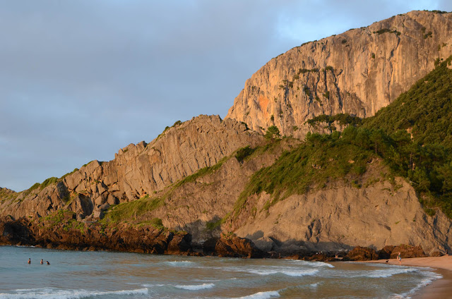 ALMANAQUE NATURAL: Los Encinares más norteños