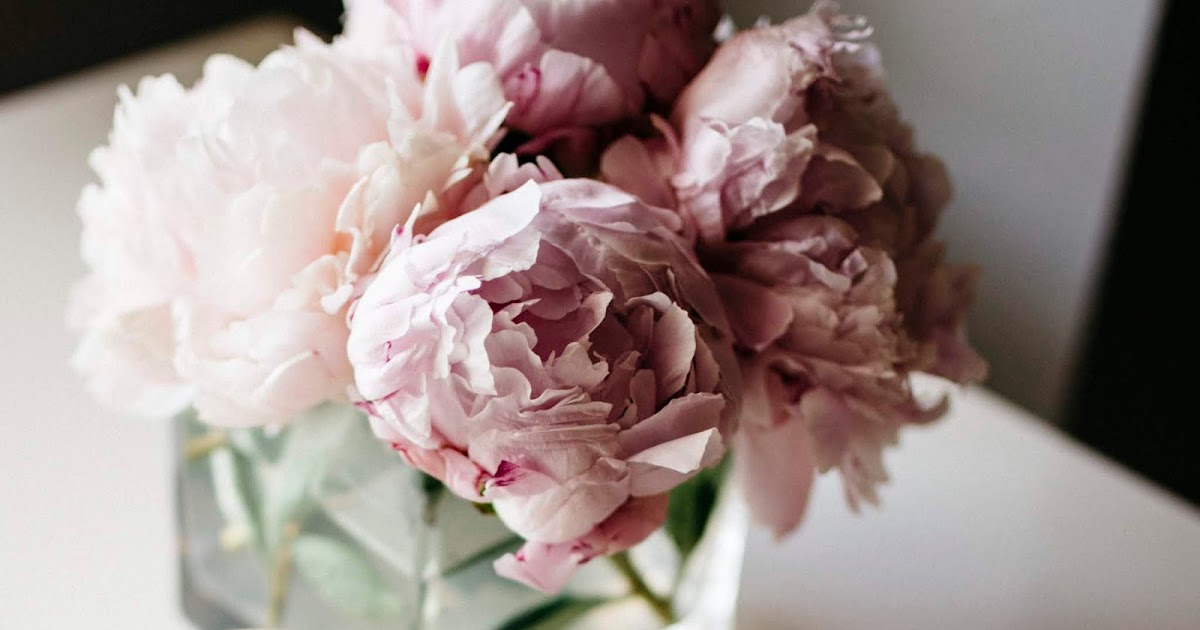 Segnalazione Chloe Di Leila Awad — Once Upon A Time A Book