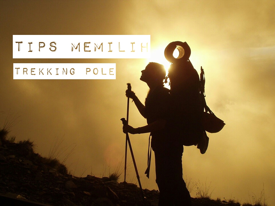 6 tips memilih trekking pole untuk mendaki gunung | Peralatan Gunung