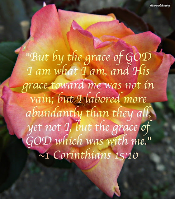 Flowery Blessing: "But by the grace of GOD I am what I am, and His ...