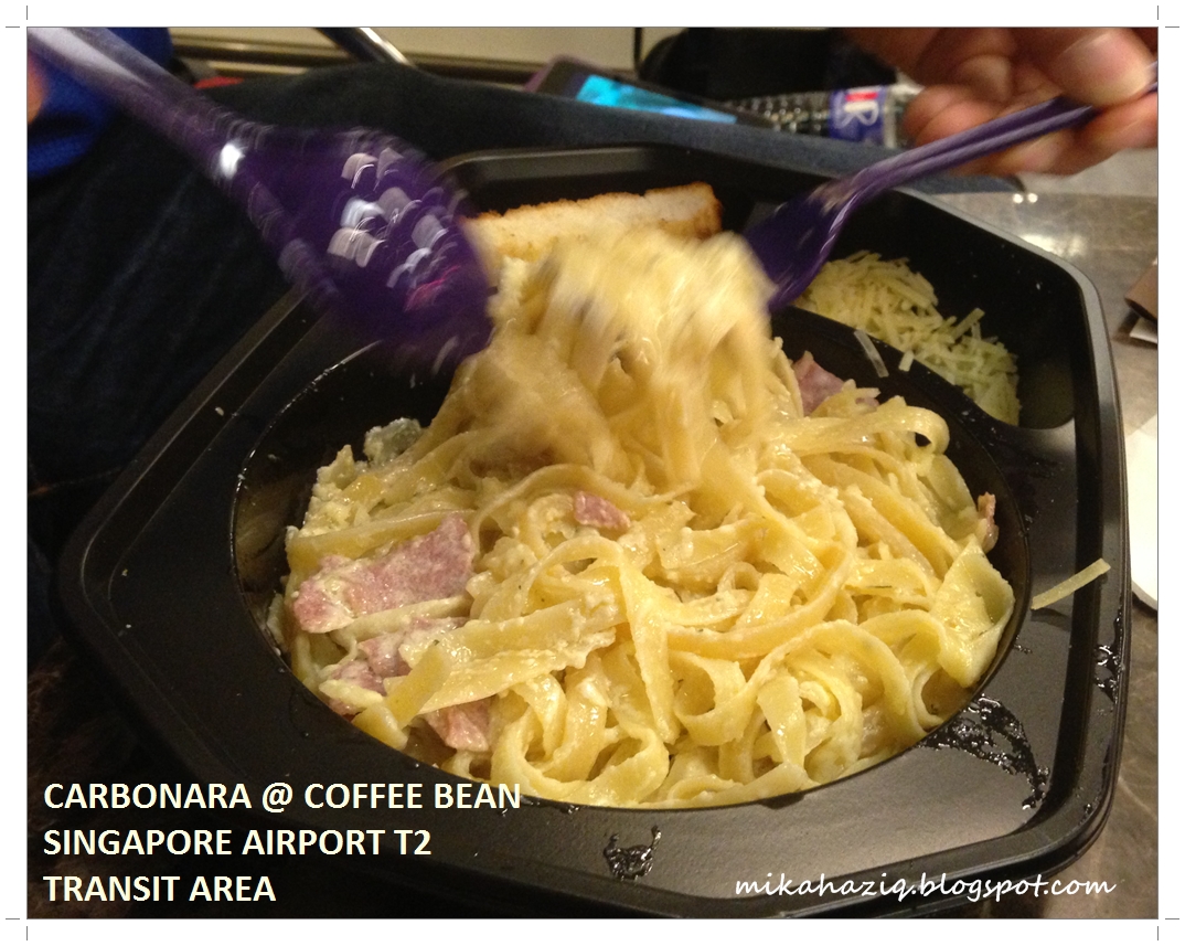 mikahaziq: Halal Food at Changi Airport Terminal 1 Transit Area ...
