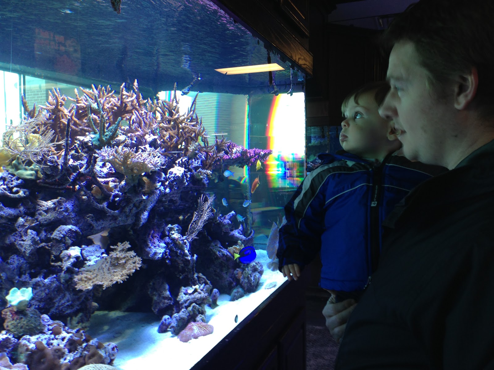 Some Sugar Added: Redneck Aquarium