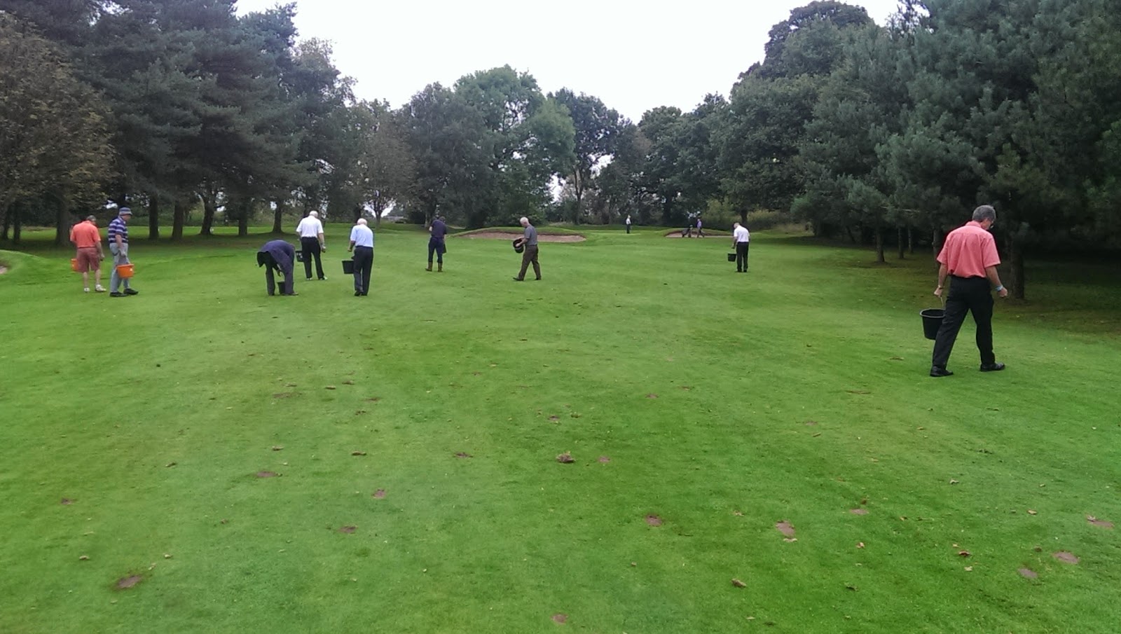 Haydock Park Golf Club Greenkeepers Blog: October 2014