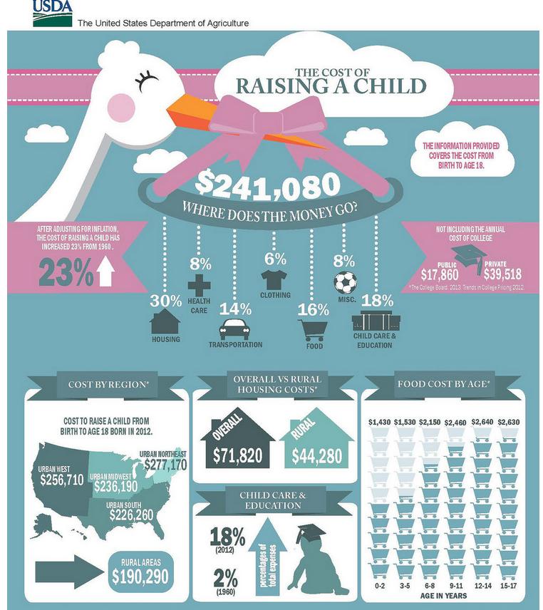 Herkimer and Oneida Counties Census Data Affiliate: The Cost of Raising ...