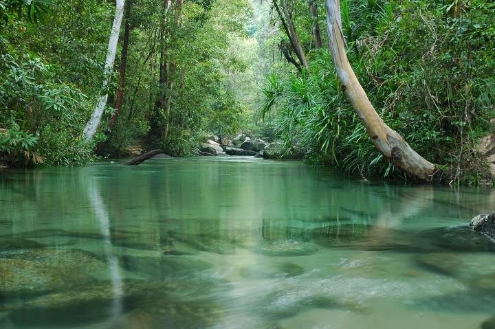 Gunung Tebu cabaran mendaki 3,408 kaki, memberi kepuasan kepada pendaki ...