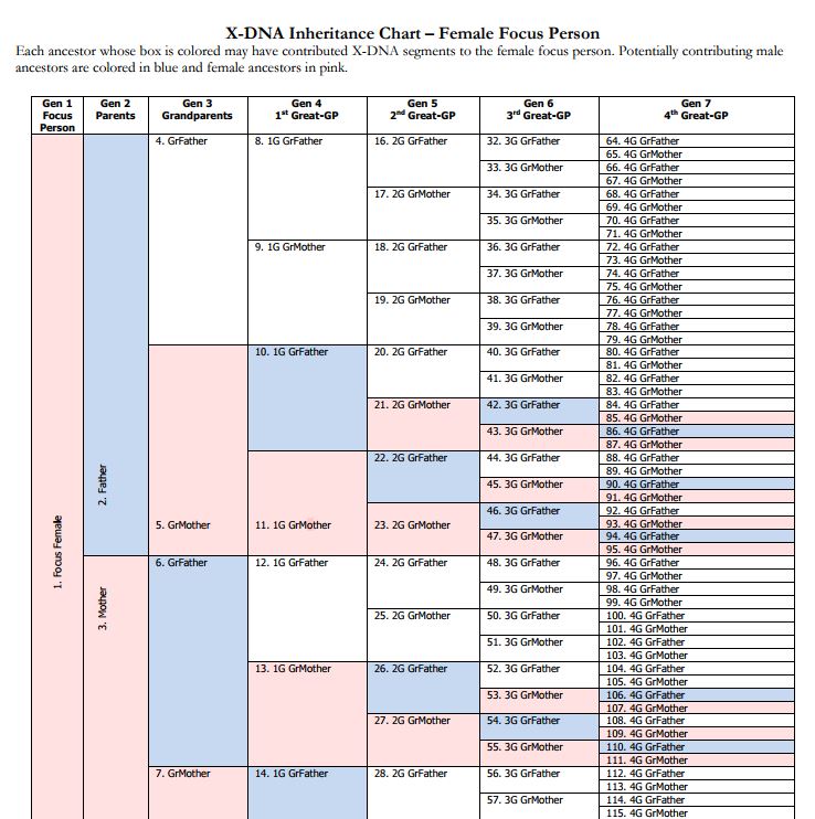 Heather's Genealogy Notes: I've Done a DNA Test, Now what?