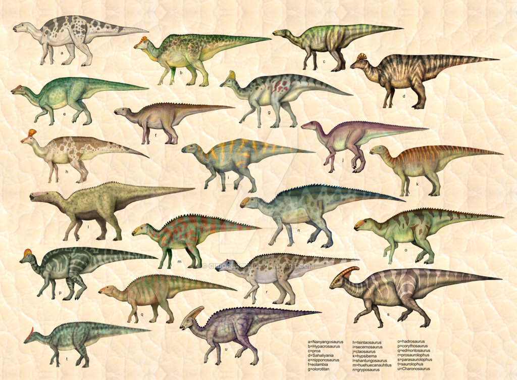 Mundo Pré-Histórico: Ornitópodes (Ornithopoda)