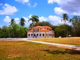 Jabá com Jerimum (Blog de um Natalense): Macaíba, Macaúba, Macaúva ...