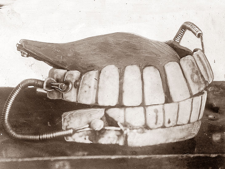 UNA LUPA SOBRE LA HISTORIA: LOS DIENTES DE WATERLOO