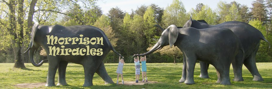 Morrison Miracles: Hemangioma