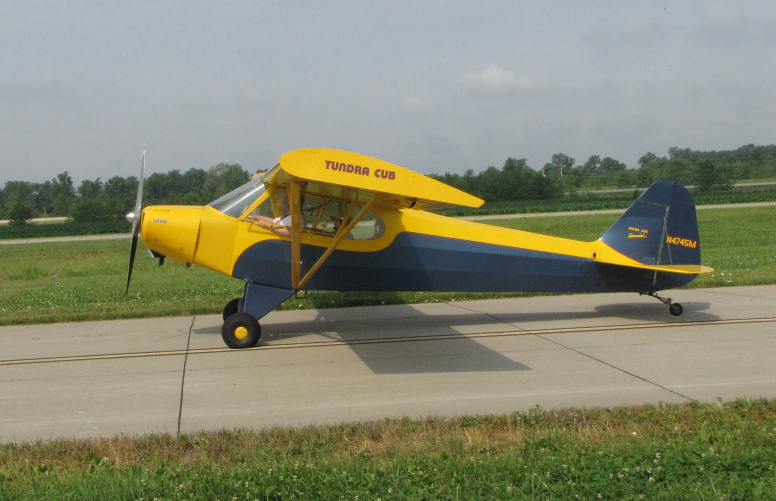 The Aero Experience: Piper Cubs of All Stripes at the Waco Club Fly-In ...