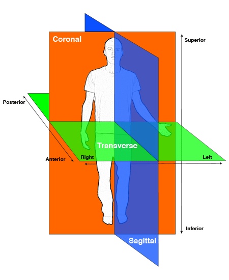 HEALTH COACH: Stress-Free Posture And Body Mechanics: Part Two: A ...