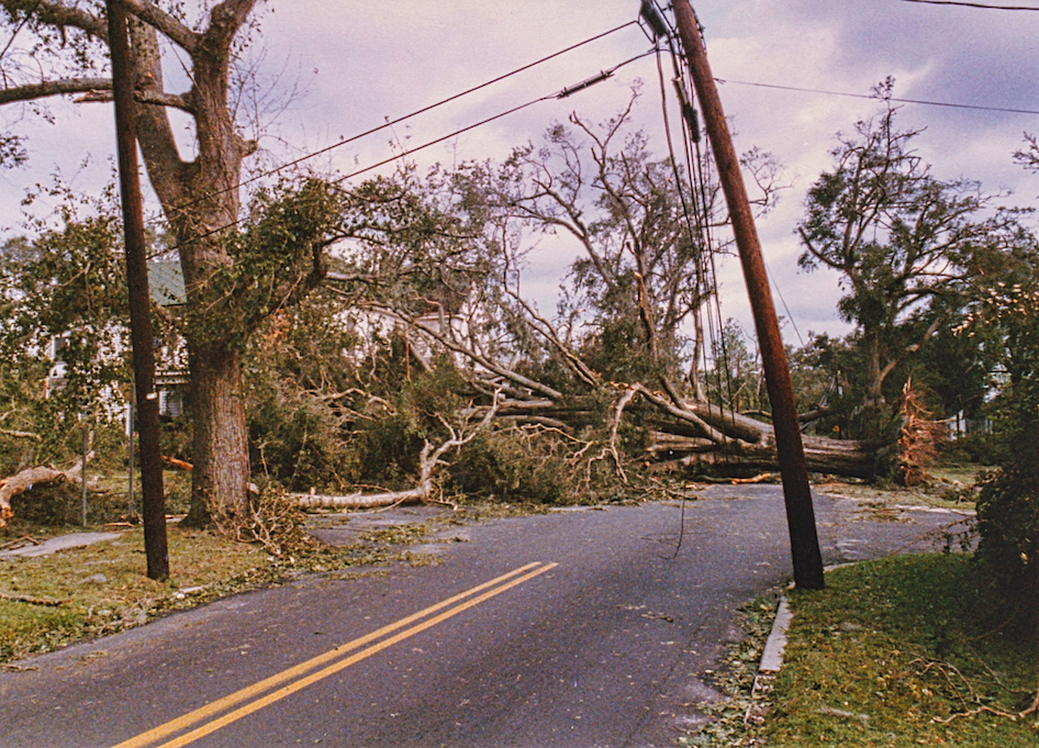 Royal Town Rambles: Cyclones and Floods, Part I