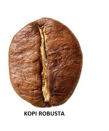 Pecinta Kopi: Kopi Robusta - Sejarah, Deskripsi dan Perkembangannya