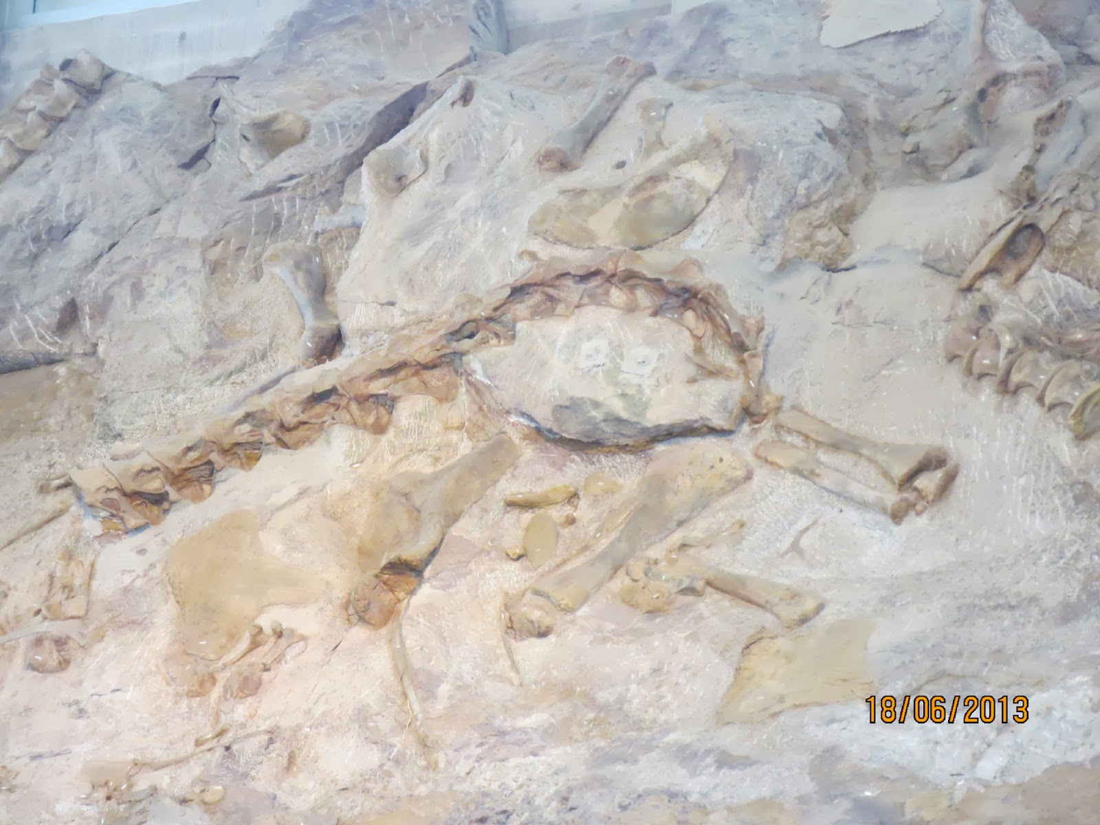 The Travelling Lindfields: Of Dinosaurs, Petroglyphs and Pictographs