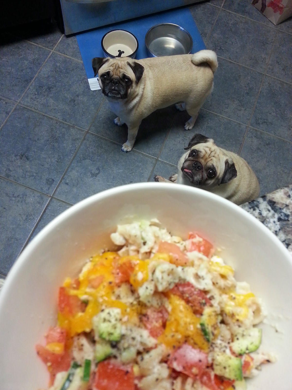 Grubbin' Pugs
