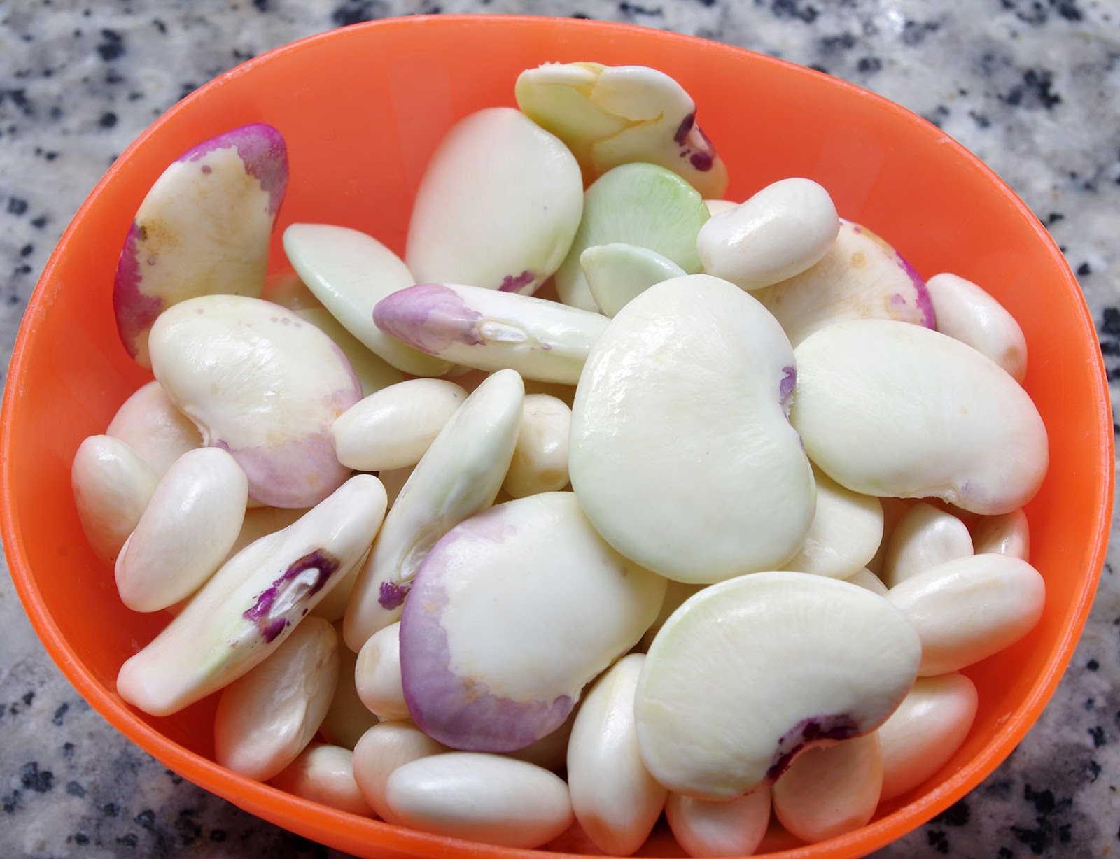 Fentdetutto: El Garrofó. Un ingrediente genuinamente valenciano.