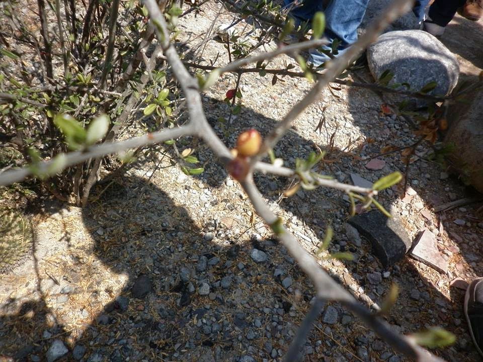 practicas equipos 5a y 5b