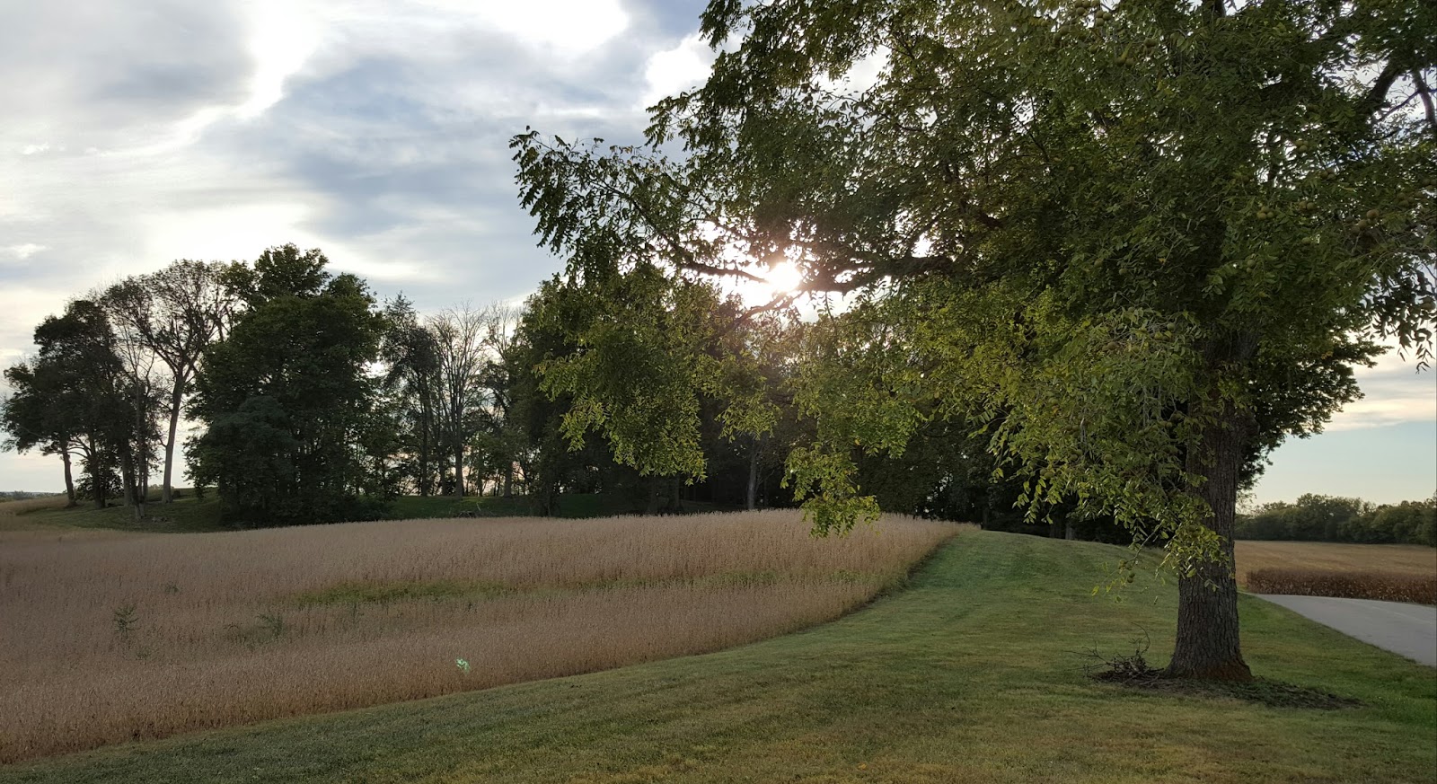 The American Patriot Series: Nonhelema of the Shawnee