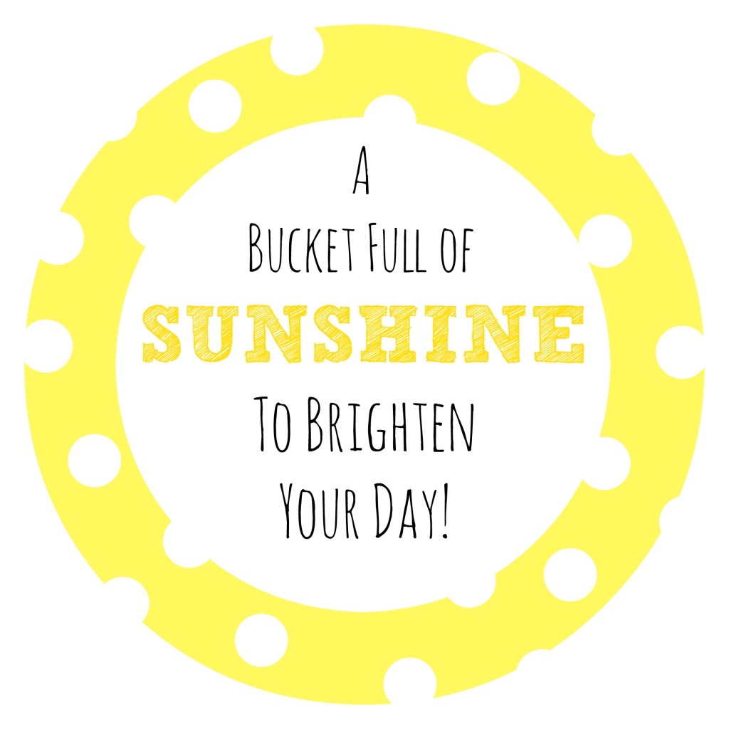 Crafty Texas Girls: DIY Sunshine Bucket
