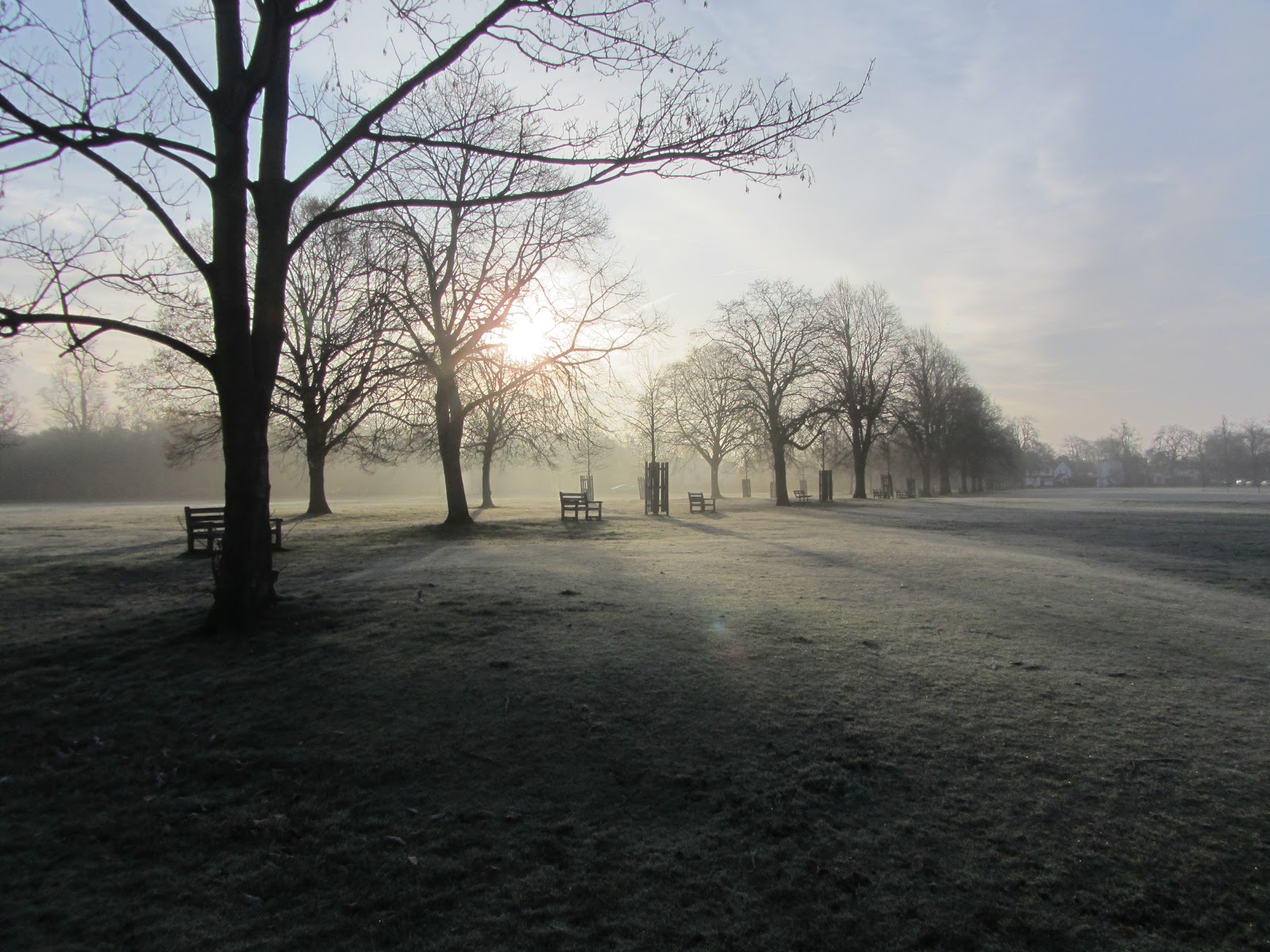 Ham Photos: A misty morning on Ham Common