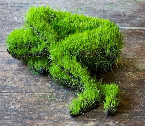 Design Stack: A Blog about Art, Design and Architecture: Recycled Grass ...