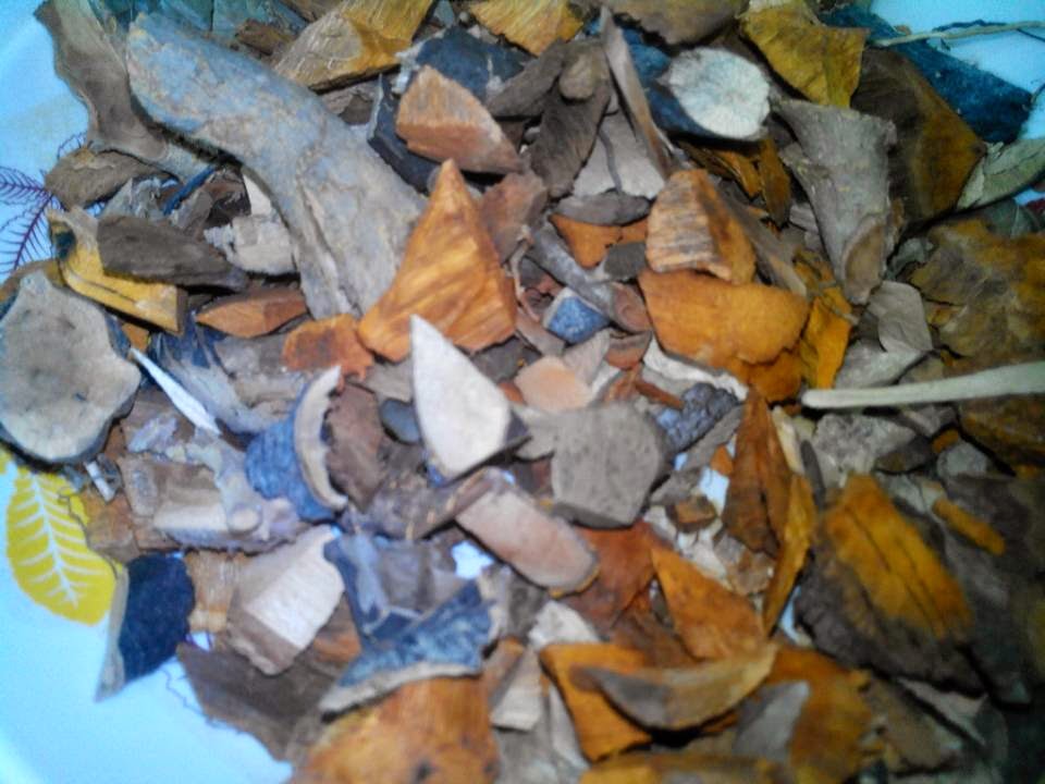 UBAT TRADISIONAL ( AKAR ASLI ): AKAR ASLI UNTUK REBUSAN