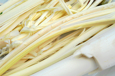 PLAAN : CHONTA - Bactris gasipaes