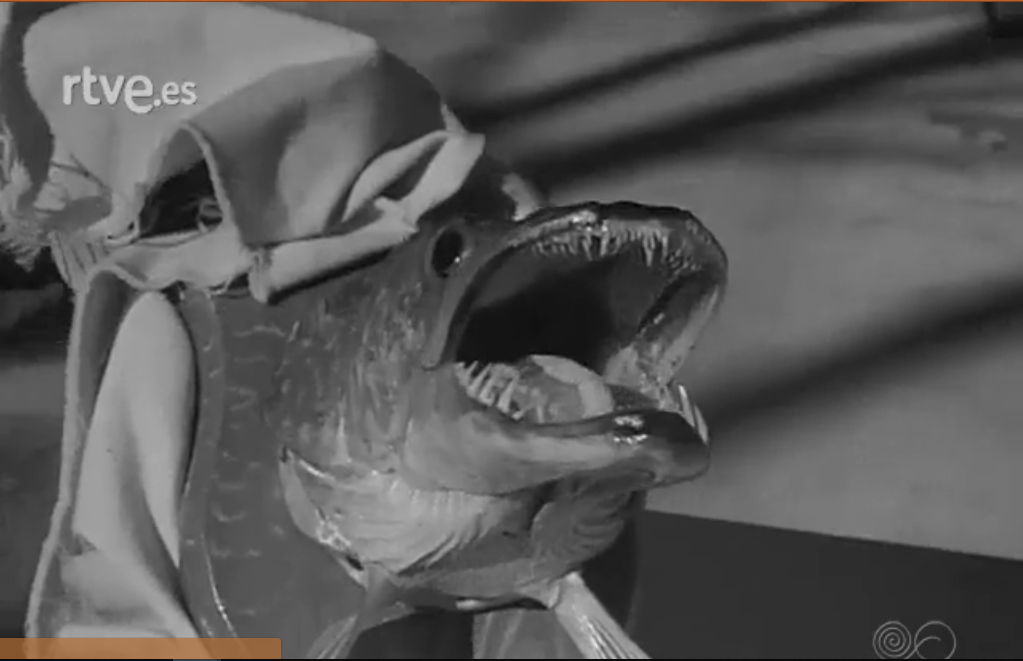 Luciocapture.com: Lucio (Esox lucius)