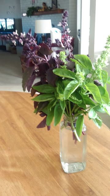 Basil: The Ultimate Guide