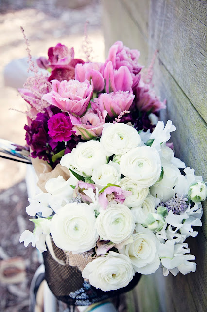 Urban Flower: Our Flowers in Rouse Hill Regional Park