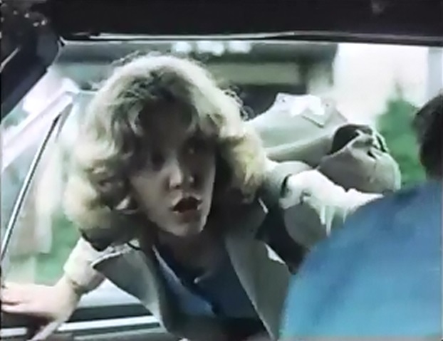 3B Theater: Micro-Brewed Reviews: Hubrisween 2018 :: F is for Forced Entry (1975)