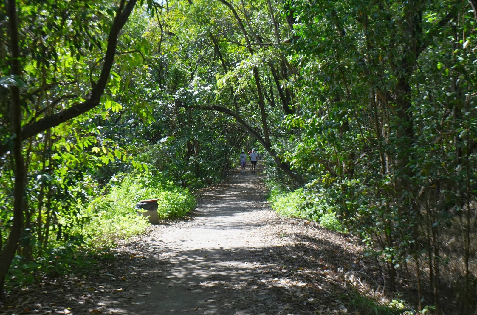 Parque Ecológico do Rio Cocó - Fortaleza, Ceará.
