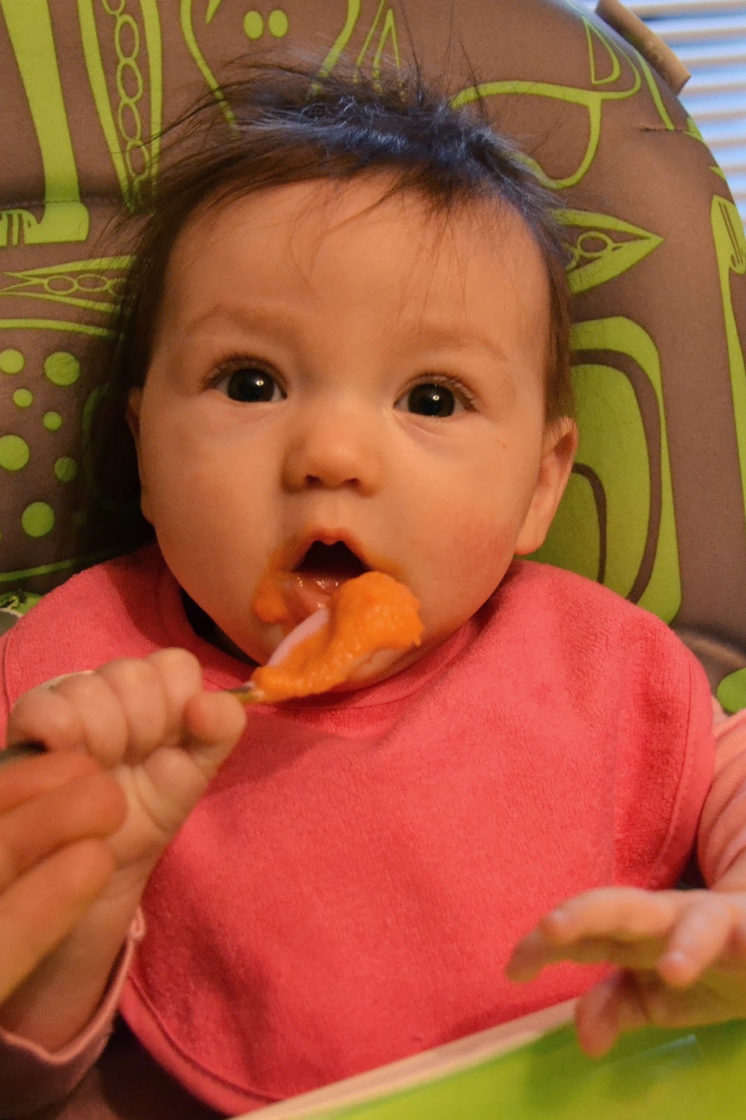 Our Plan for Starting Solids | The Nutritionist Reviews