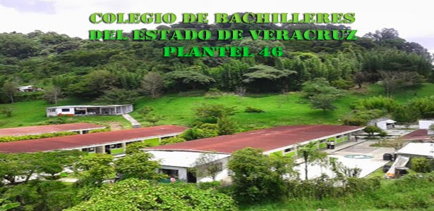 Capacitaciones Del COBAEV 46