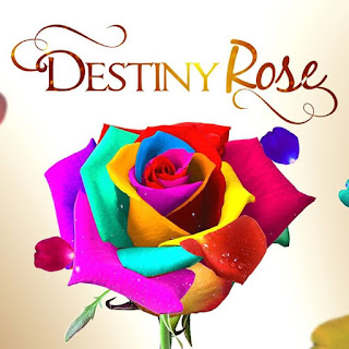 Destiny Rose - January 14 2016 Full Episode - GMA NETWORK