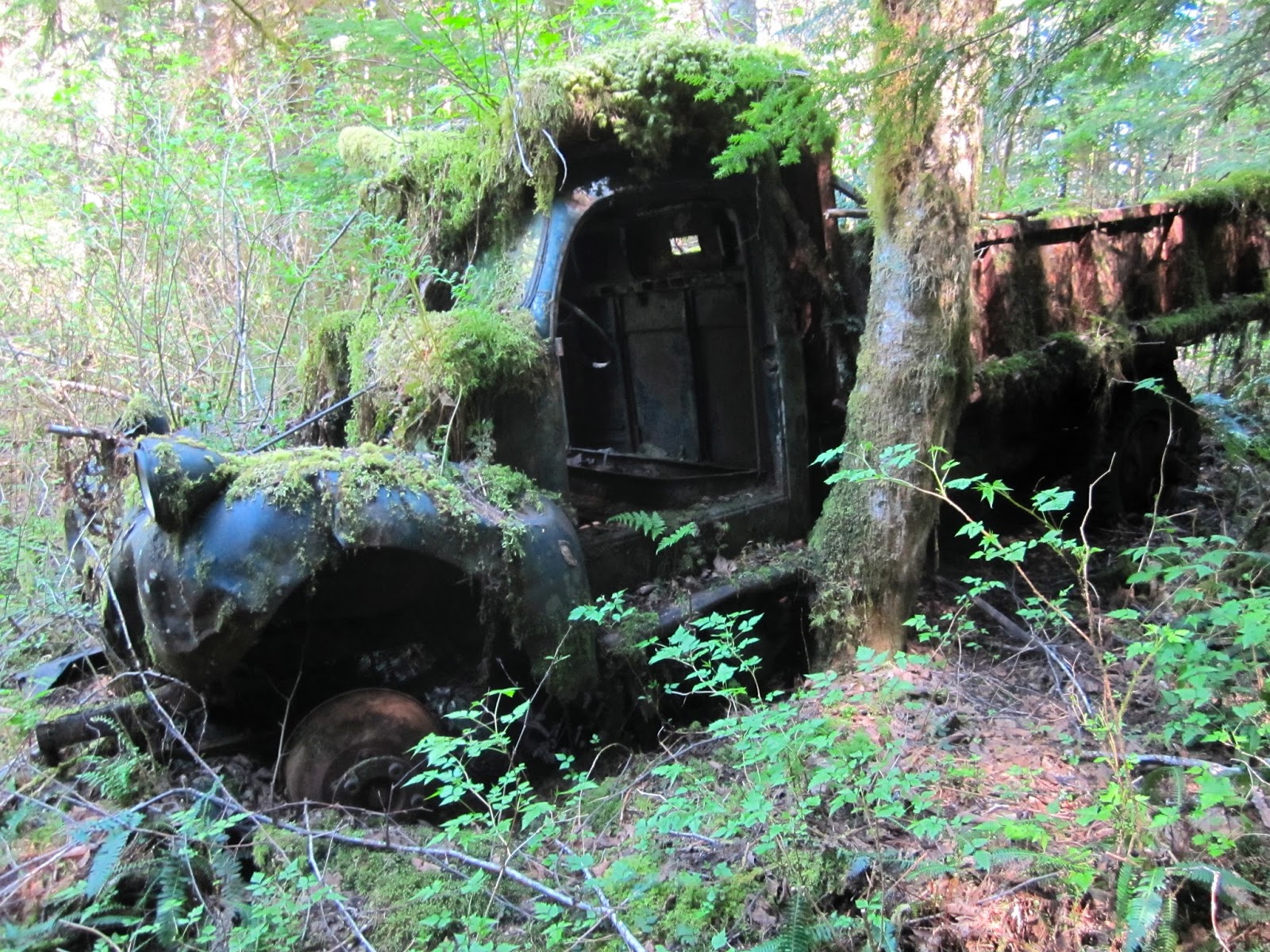 Powell River Quad Rides: Chip North to Theodosia Inlet