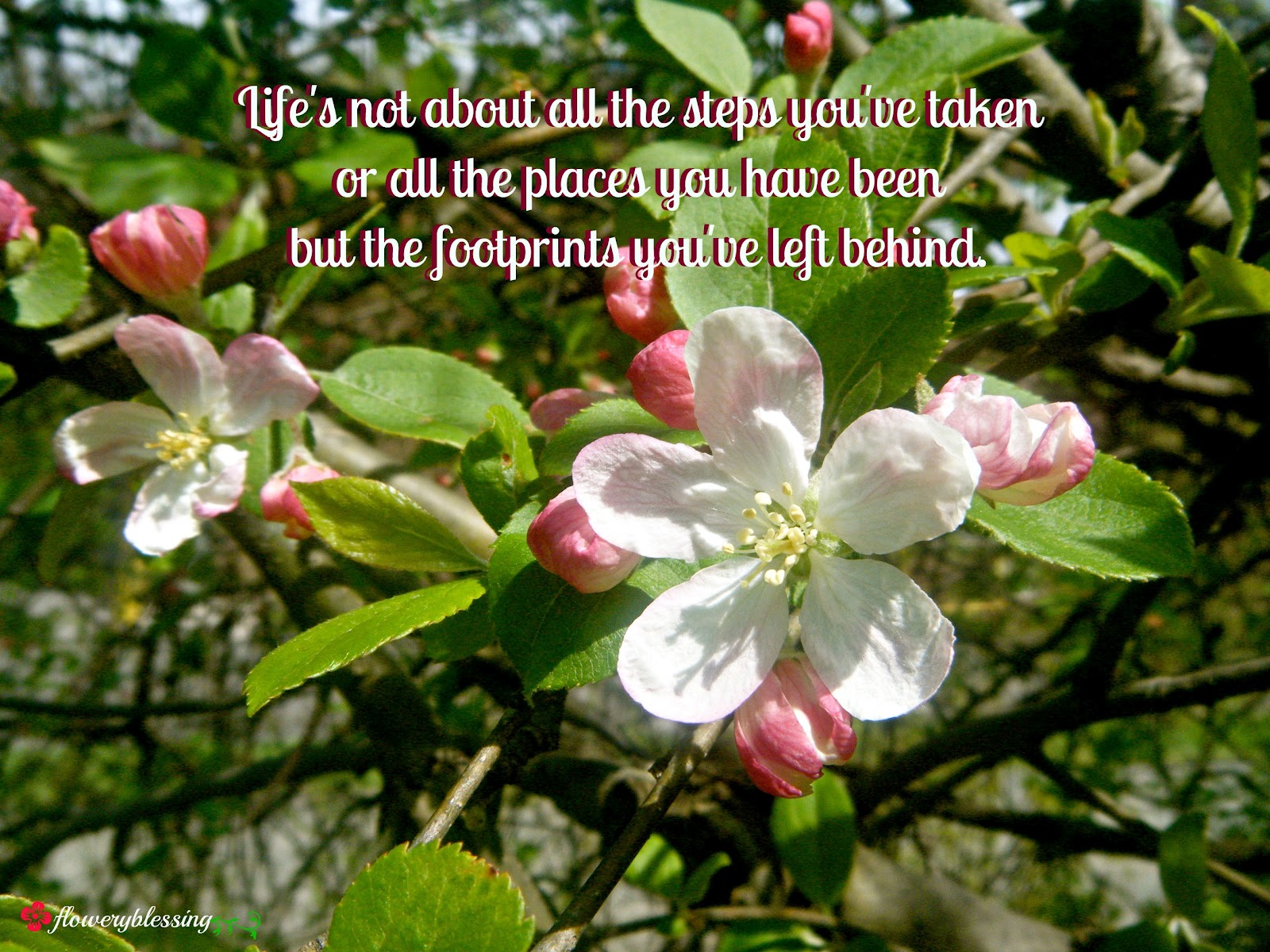 Flowery Blessing: Life's not about all the steps you've taken or all ...