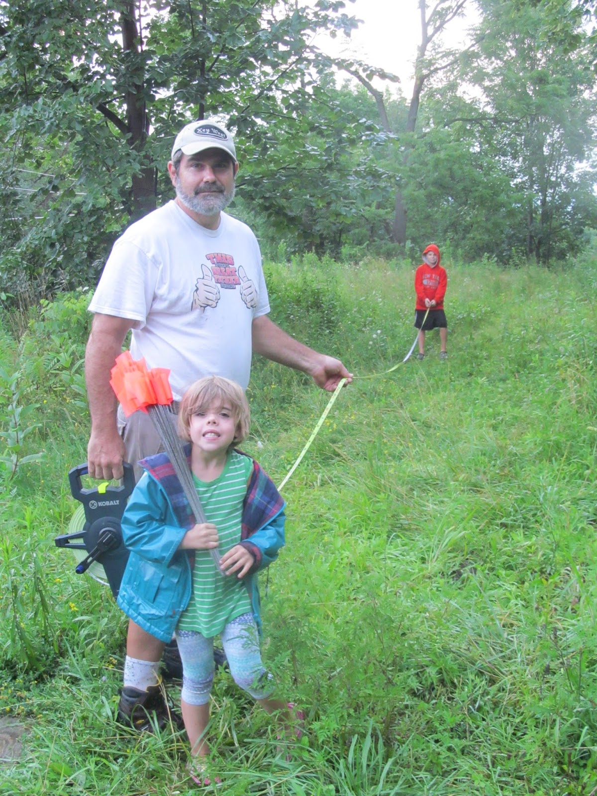 Woodland Kennels and Grooming: Do not despise these small beginnings....